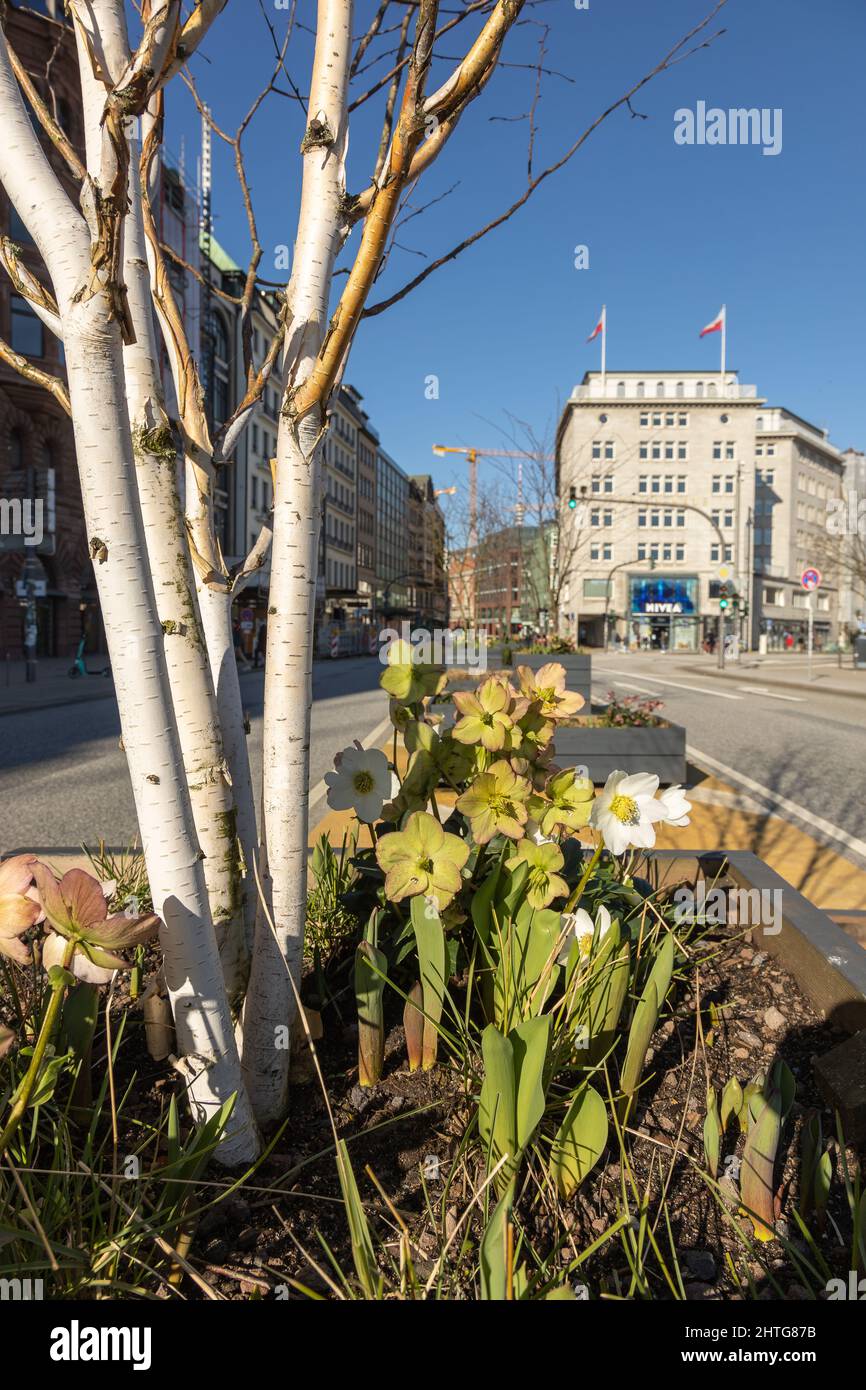 Hamburg street spring hi-res stock photography and images - Alamy