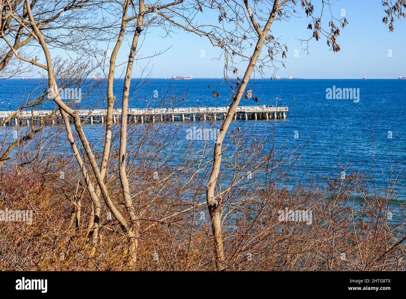Spring trees and a view of the pier on th Baltic Sea in Gdynia Orlowo ...