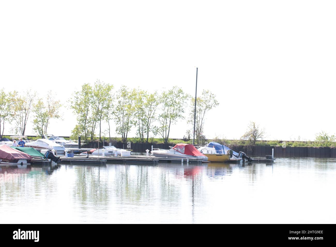 View trees lake on Cut Out Stock Images & Pictures - Alamy