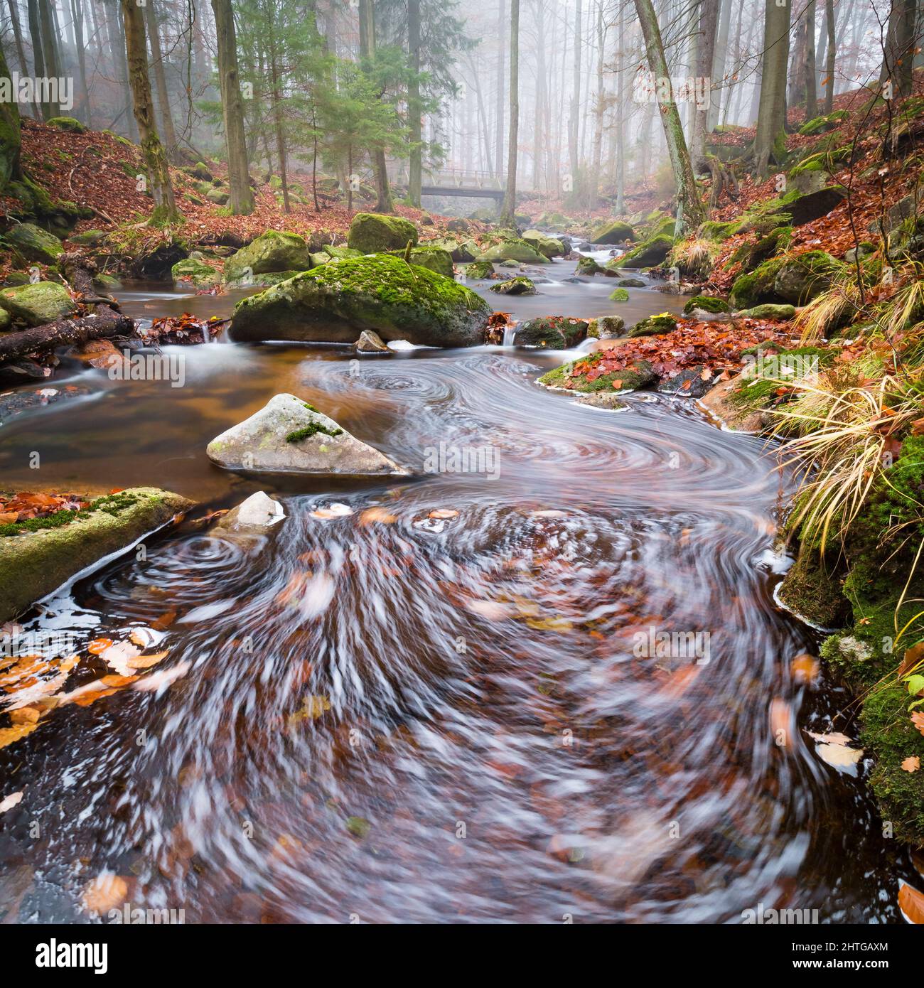 Landscape view of an amazing river Stock Photo - Alamy