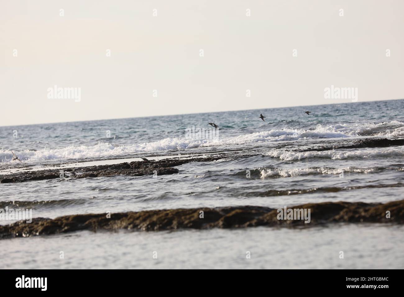 low waves on the shore of a beach High quality Stock Photo - Alamy