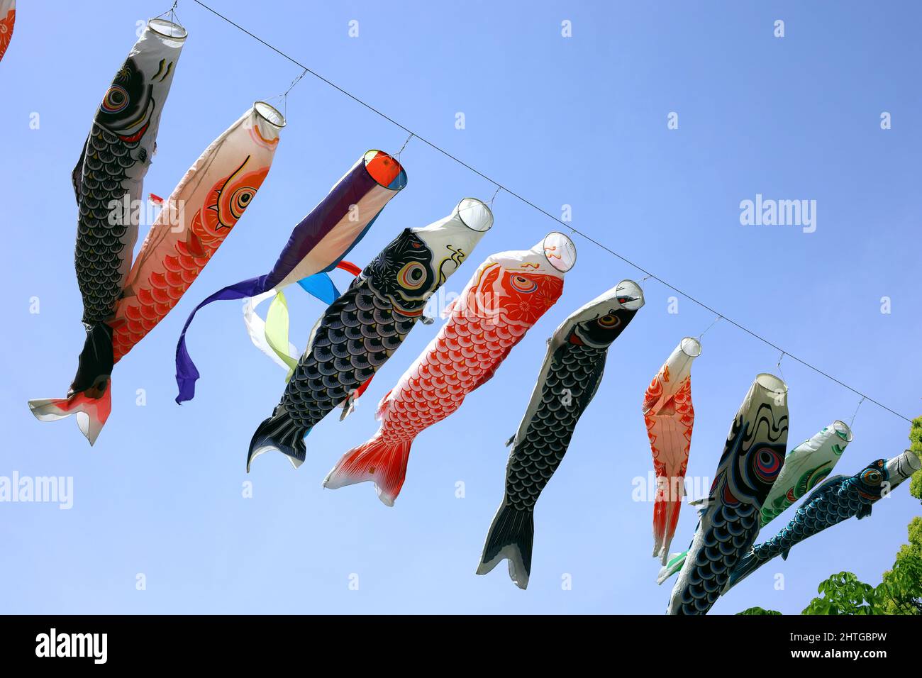 A blue clear sky and a Koi fish streamer swaying in the wind Stock ...