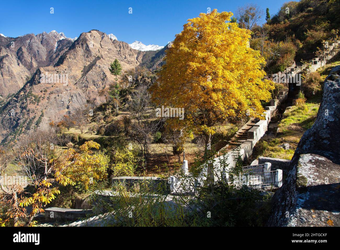 Beautiful autumnal tree horse chestnut and stairs near Joshimath ...