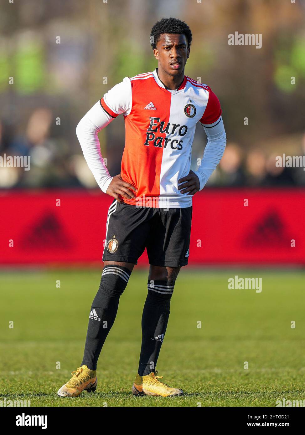 Rotterdam - Shiloh 't Zand of Feyenoord O21 during the match between ...