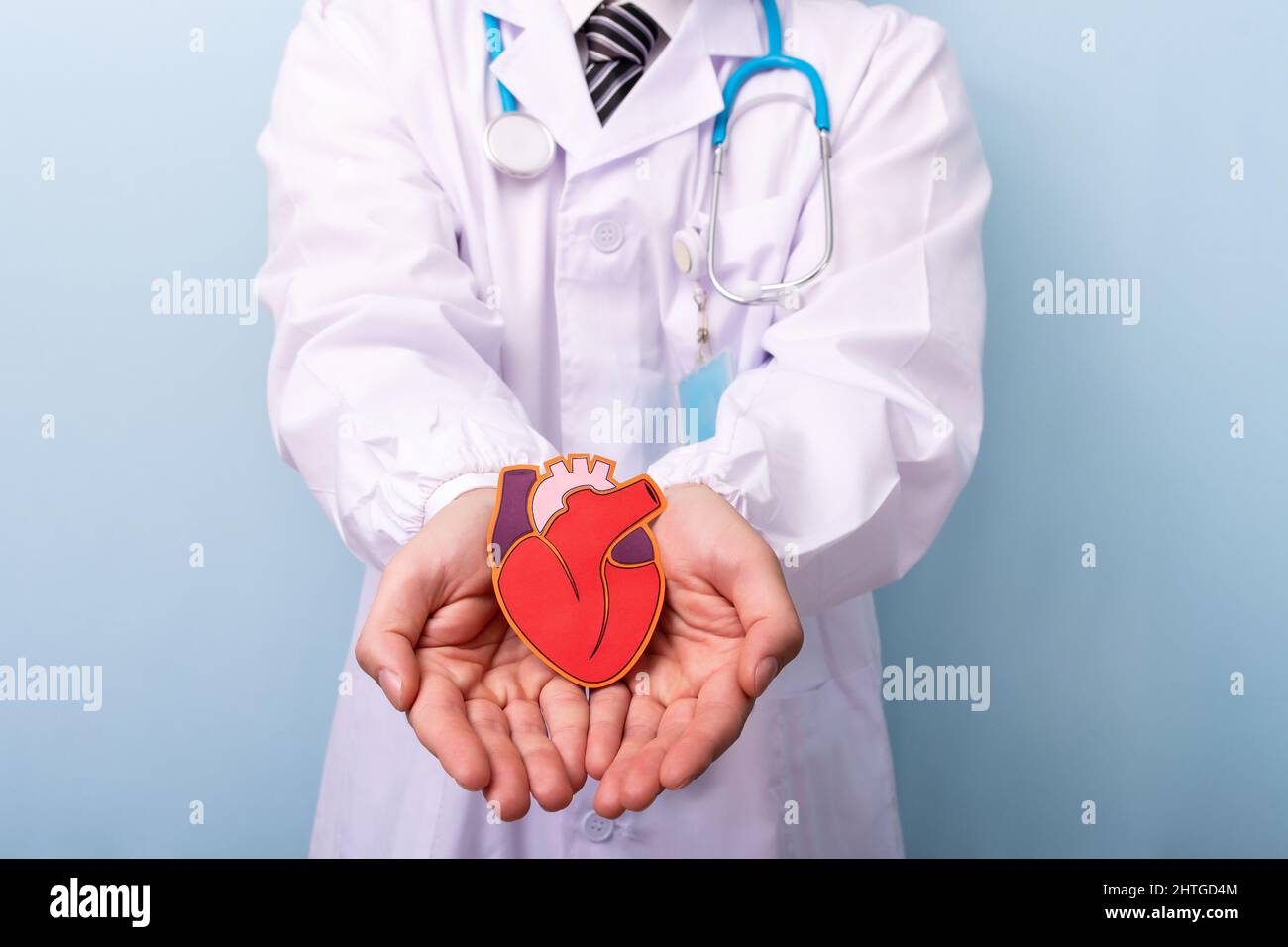 Doctor's hands holding a red heart Stock Photo - Alamy