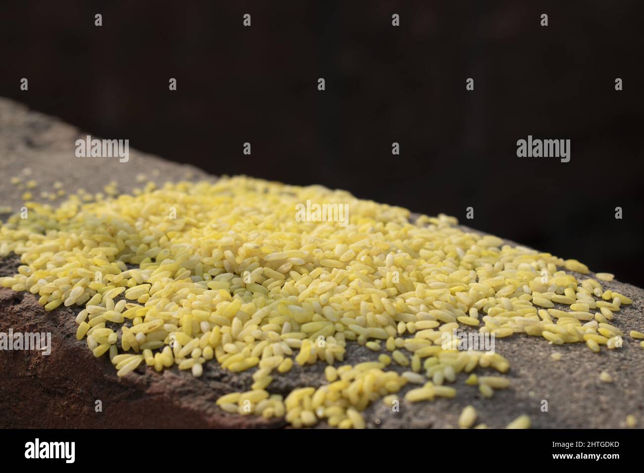 Closeup of yellow Indian rice on the ground Stock Photo - Alamy