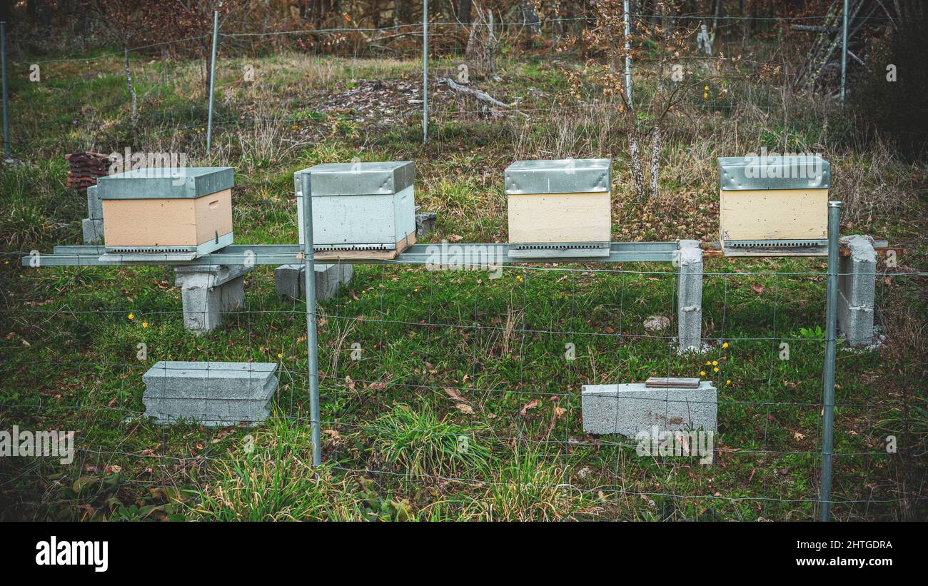 Bee swarms hi-res stock photography and images - Alamy