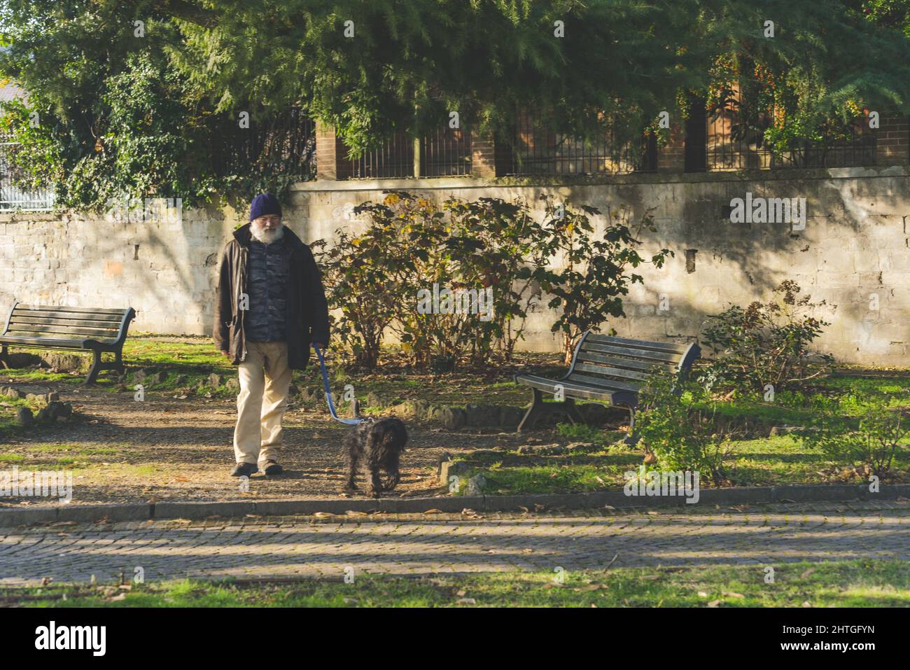 Elder male with a dog walking outside Stock Photo - Alamy