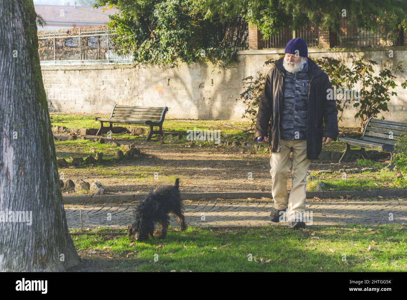 Elder male with a dog walking outside Stock Photo - Alamy