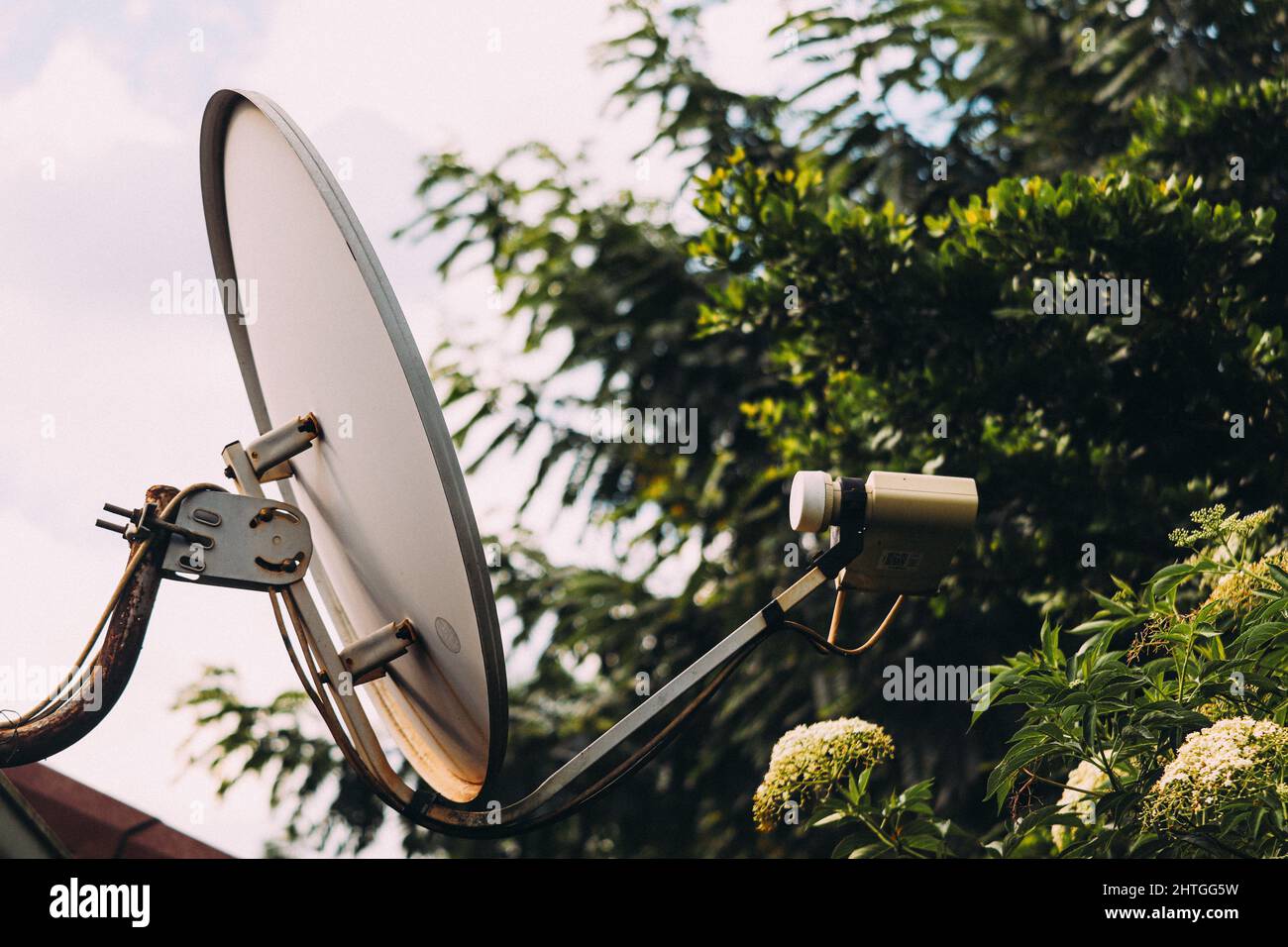 Closeup of a satellite dish with trees in a background Stock Photo - Alamy