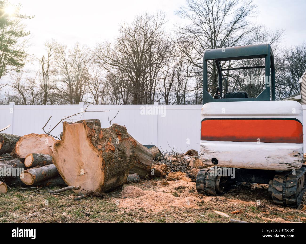 Tracked mini excavator next to cut wooden Logs, background with copy ...