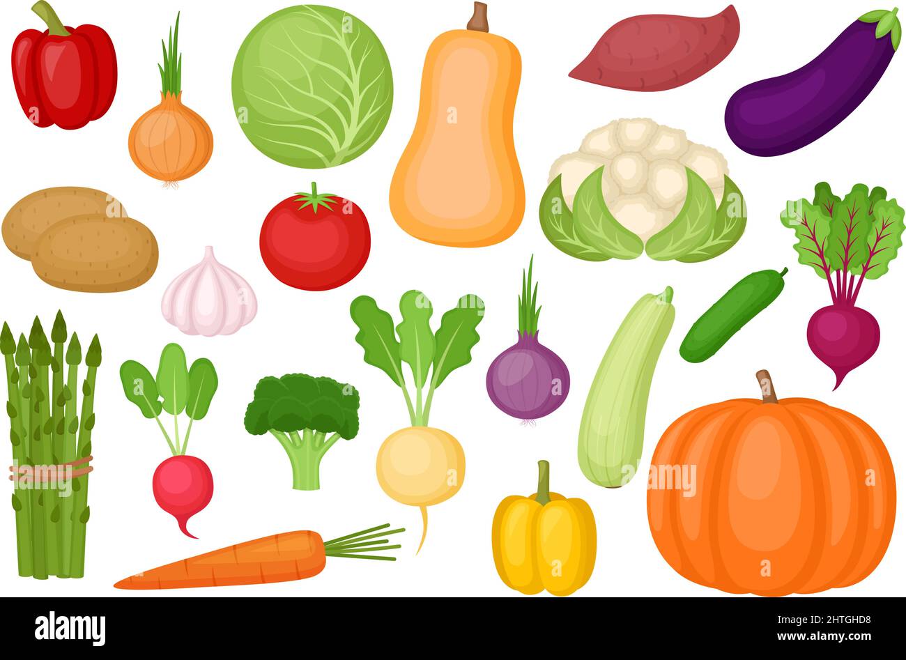 Sweet potato sprout Stock Vector Images - Alamy