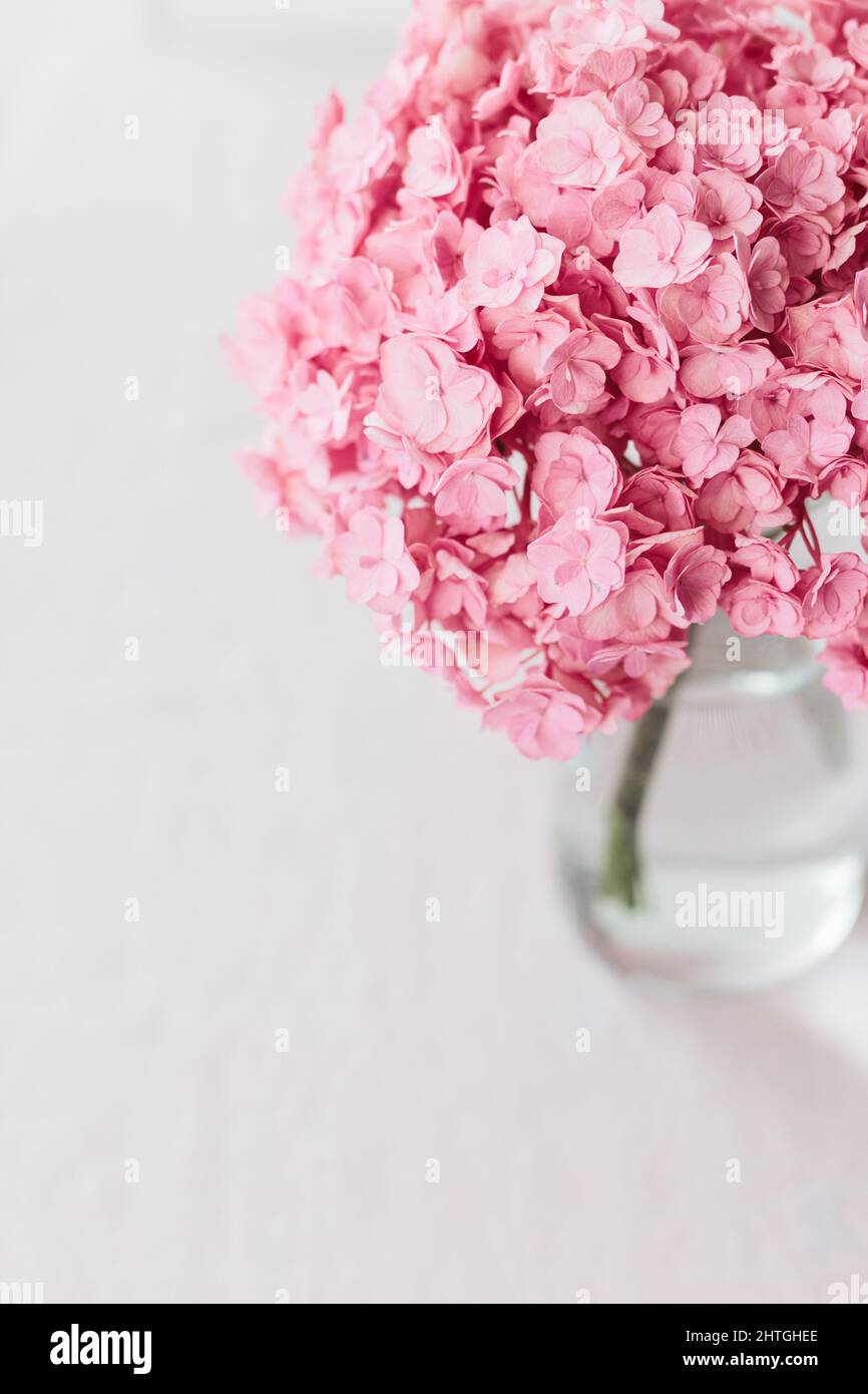 Beautiful pink hydrangea flowers in a vase on a table Stock Photo - Alamy