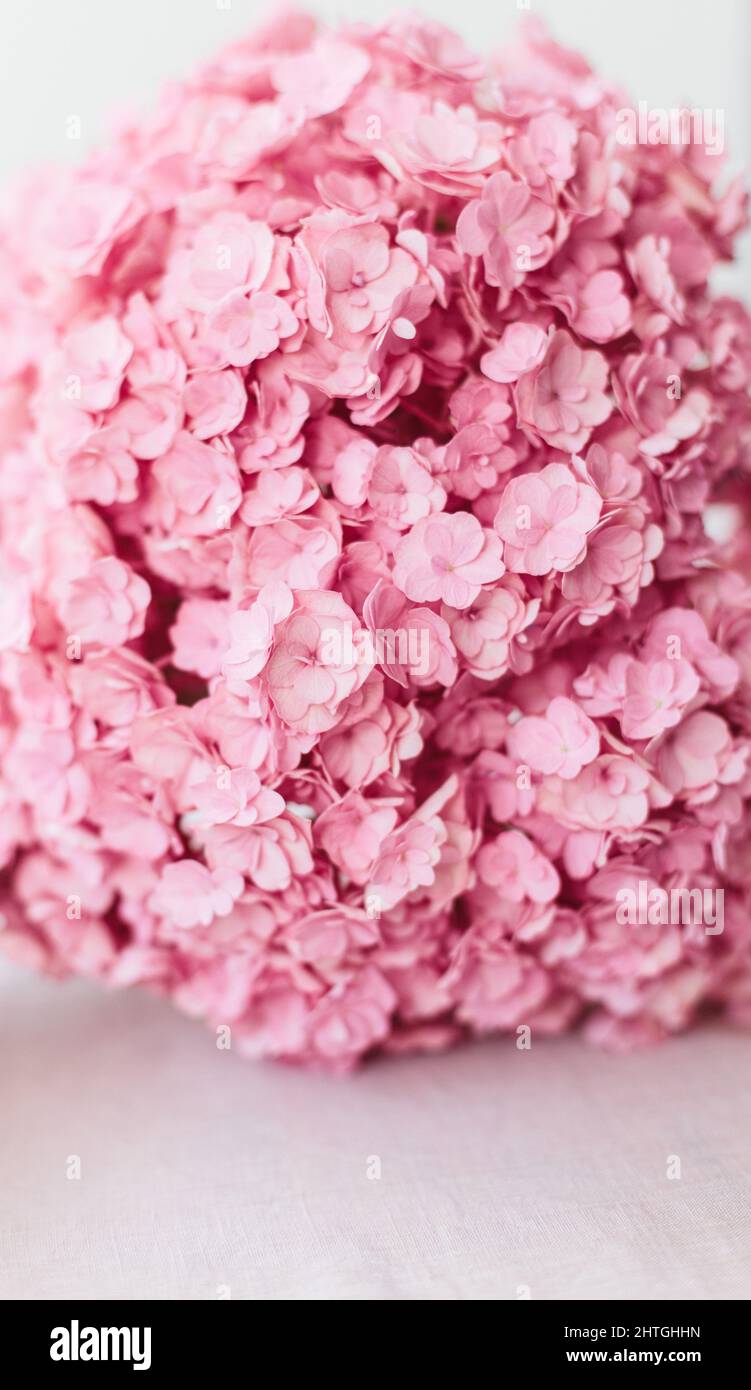 Beautiful pink hydrangea flowers in a vase on a table Stock Photo - Alamy
