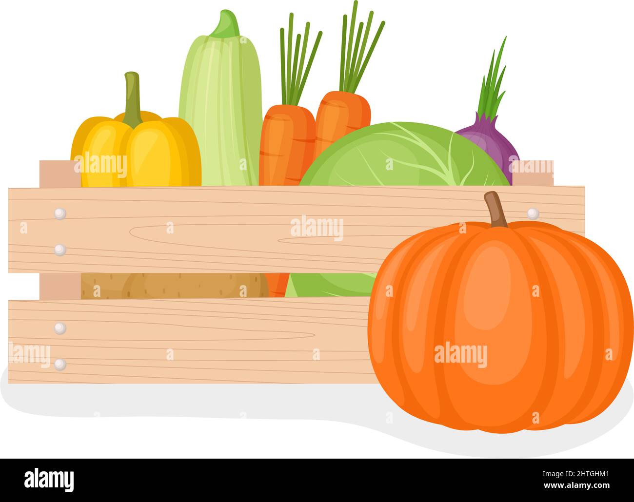 Fresh farm vegetable in wooden box, vector illustration Stock Vector ...