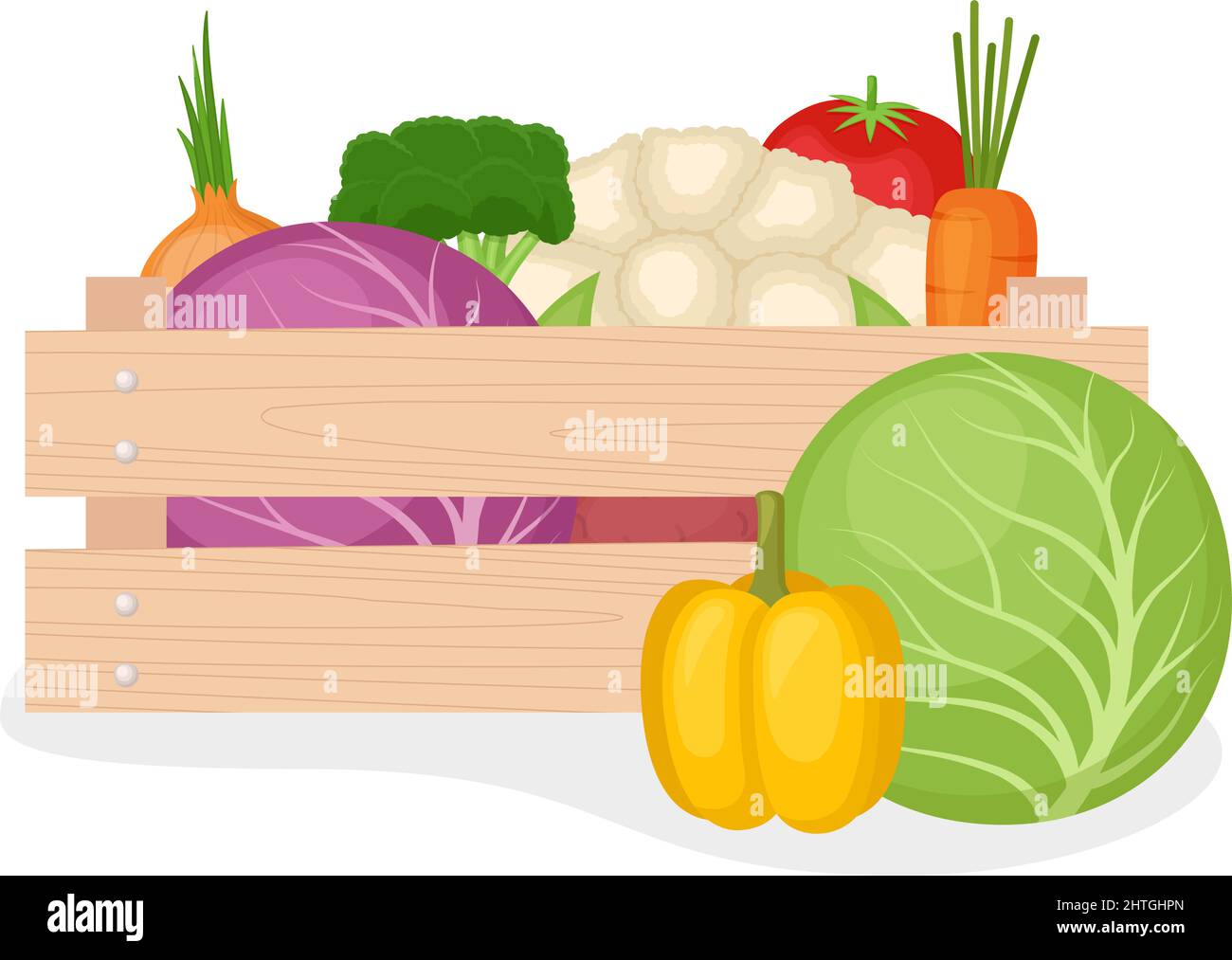 Fresh farm vegetable in wooden box, vector illustration Stock Vector ...