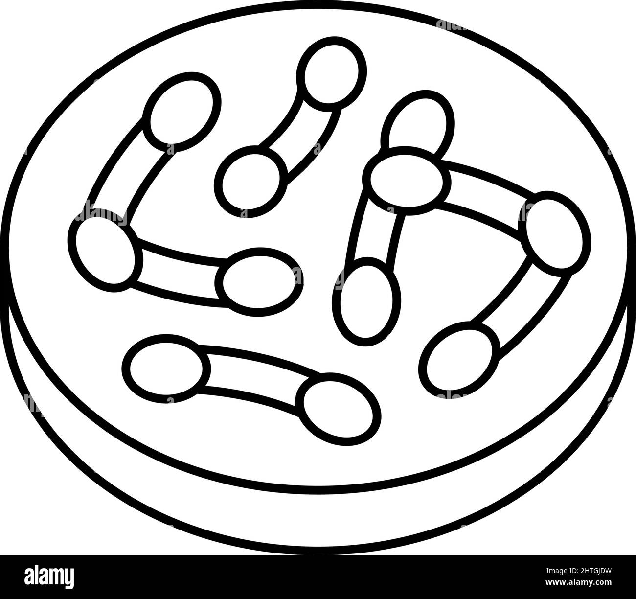 bacteria corynebacterium diphtheriae line icon vector illustration ...