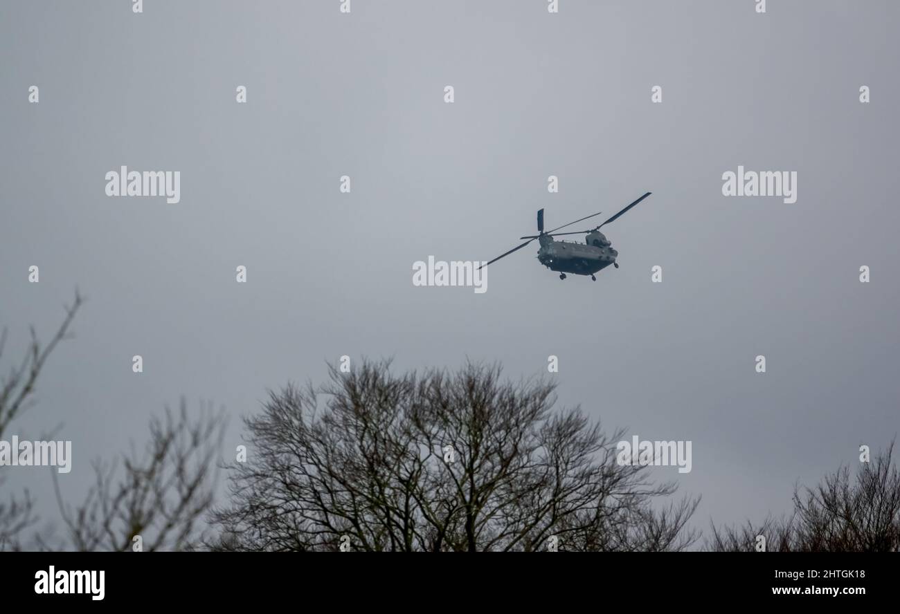 RAF Chinook tandem-rotor CH-47 helicopter flying fast and low in a ...