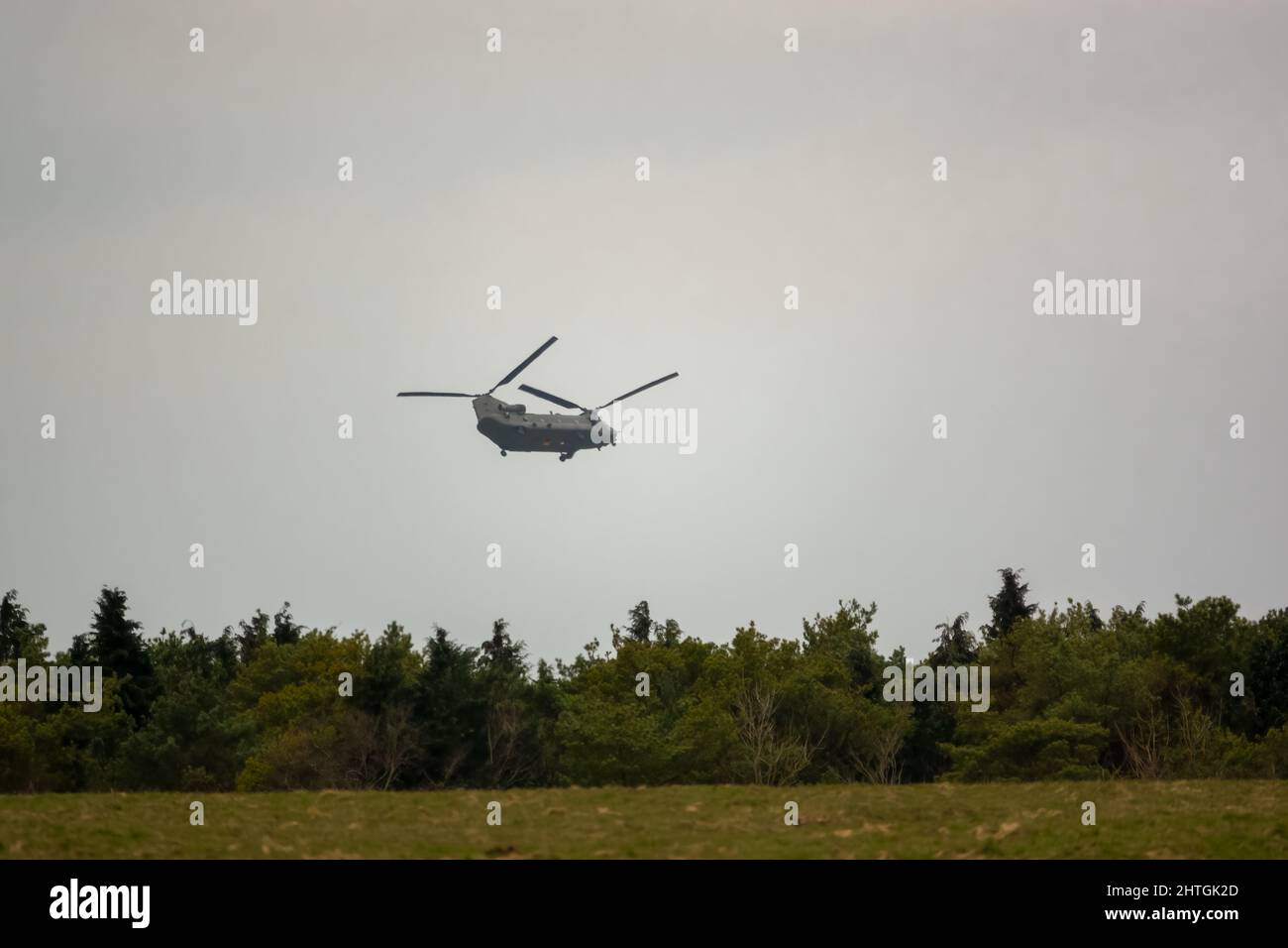RAF Chinook tandem-rotor CH-47 helicopter flying fast and low in a ...