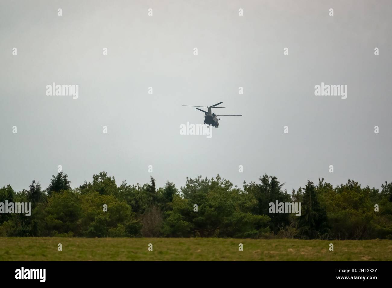RAF Chinook tandem-rotor CH-47 helicopter flying fast and low in a ...