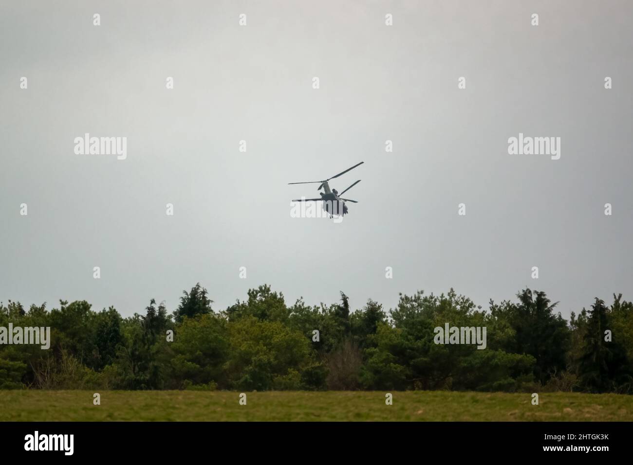 RAF Chinook tandem-rotor CH-47 helicopter flying fast and low in a ...