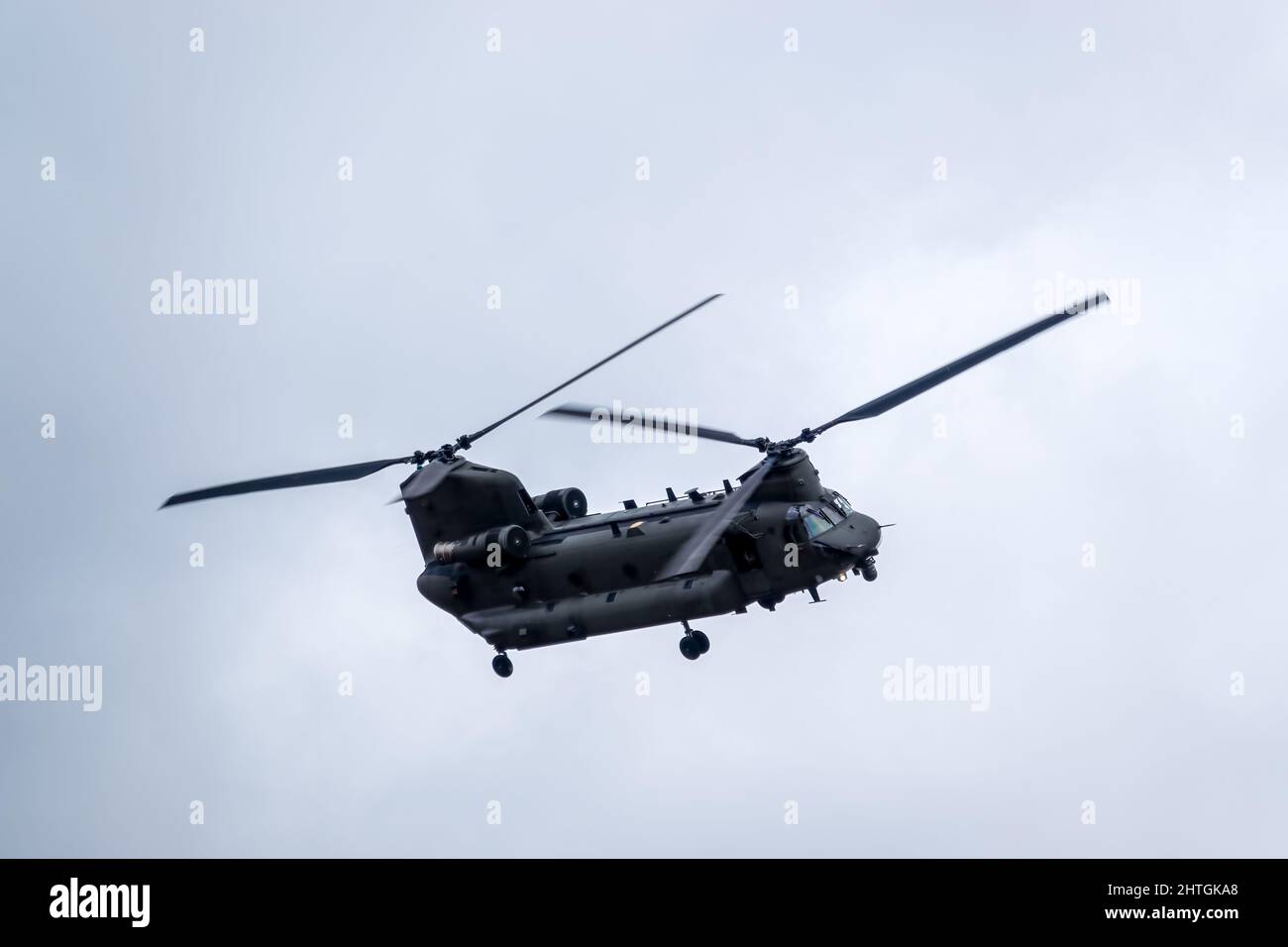 RAF Chinook tandem-rotor CH-47 helicopter flying fast and low in a ...