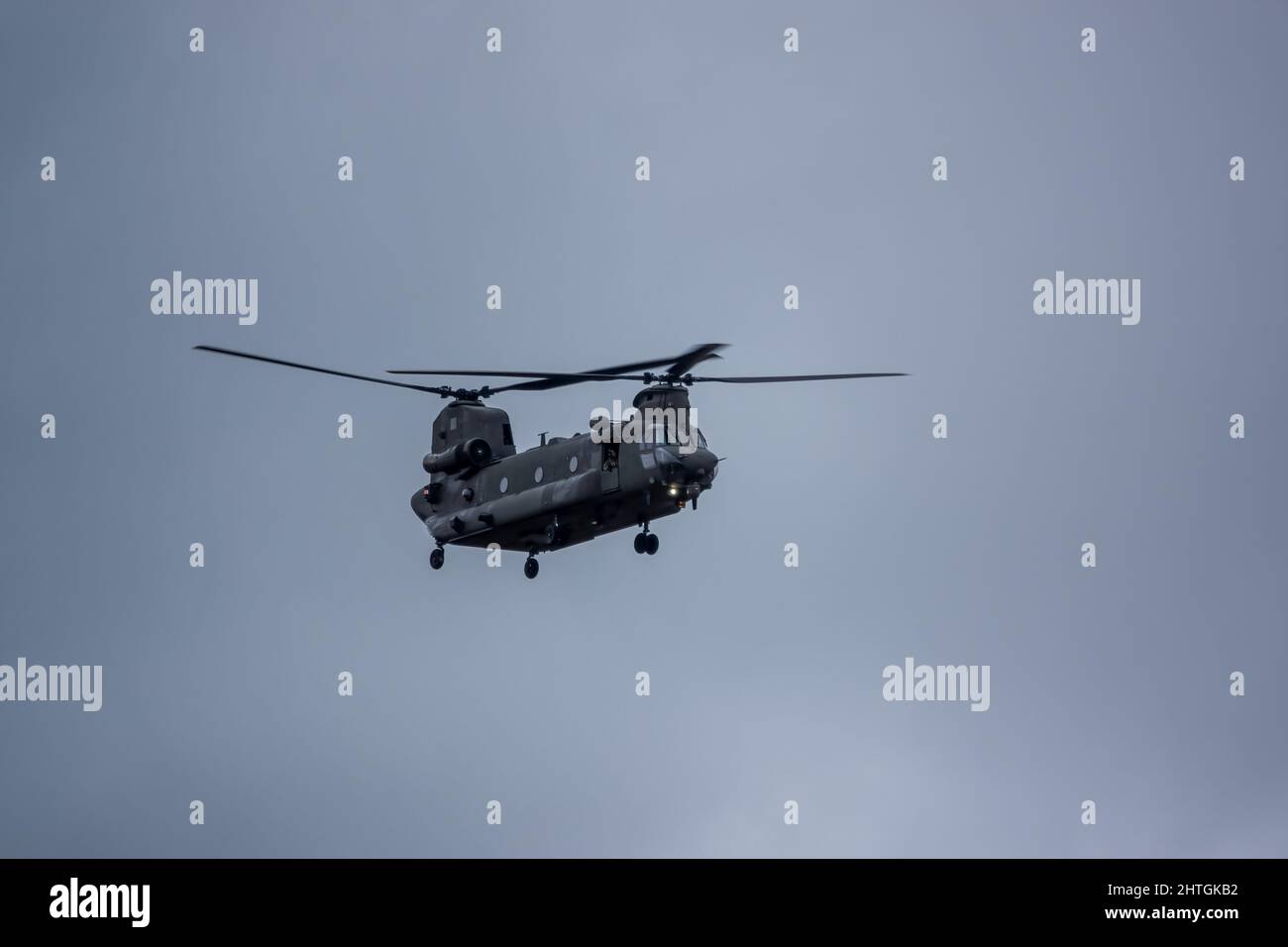 RAF Chinook tandem-rotor CH-47 helicopter flying fast and low in a ...