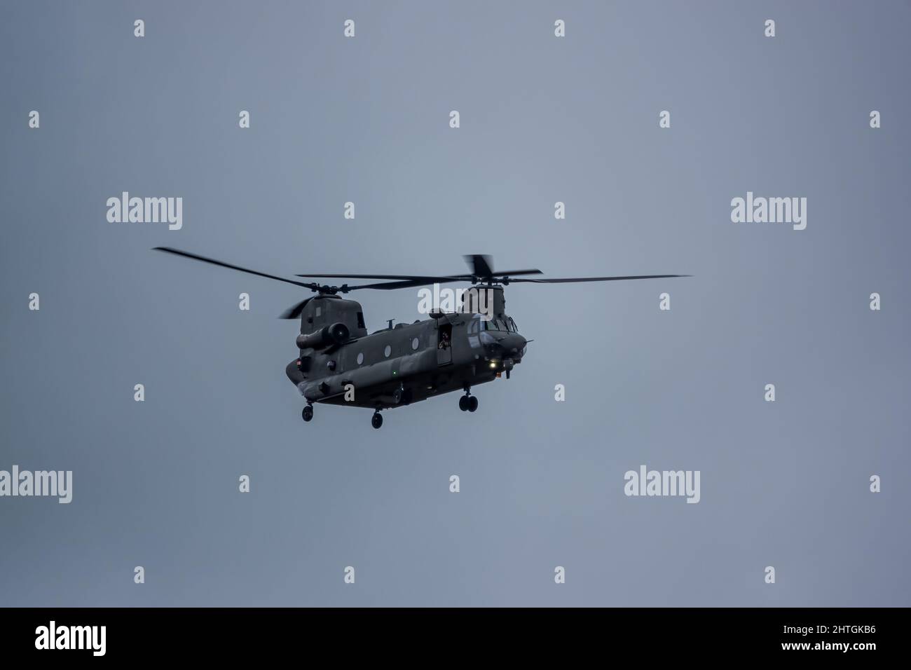 RAF Chinook tandem-rotor CH-47 helicopter flying fast and low in a ...