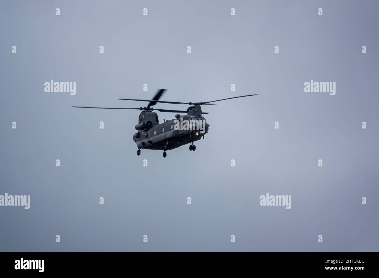 RAF Chinook tandem-rotor CH-47 helicopter flying fast and low in a ...