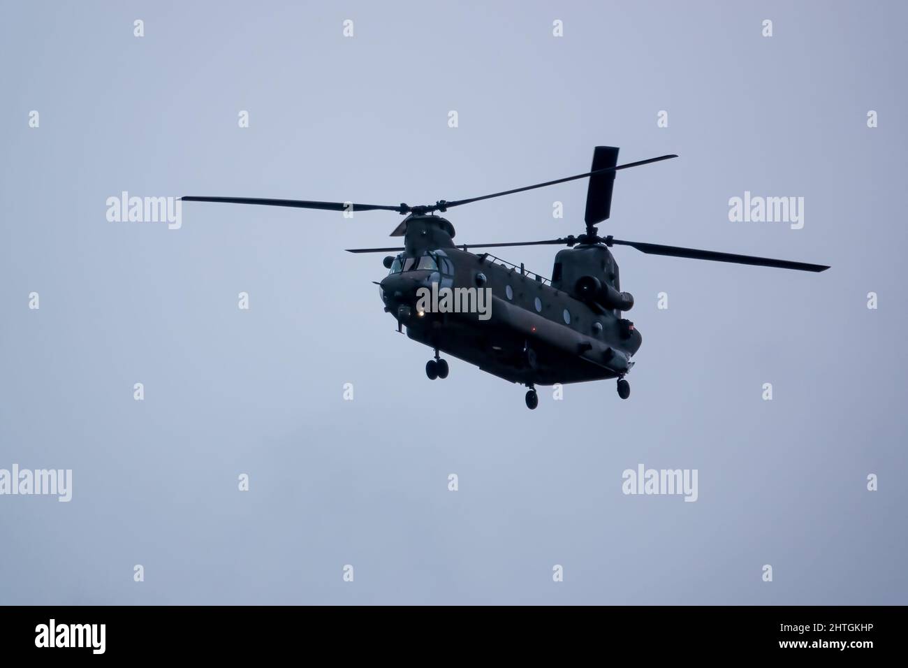 RAF Chinook tandem-rotor CH-47 helicopter flying fast and low in a ...