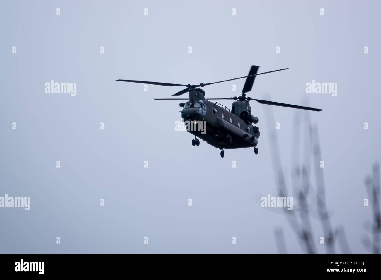 RAF Chinook tandem-rotor CH-47 helicopter flying fast and low in a ...