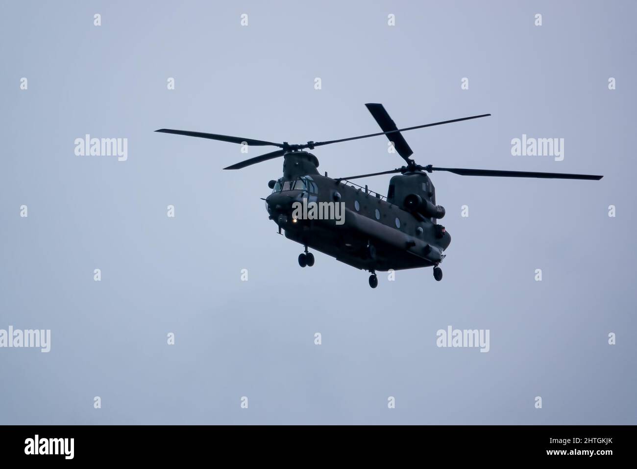 RAF Chinook tandem-rotor CH-47 helicopter flying fast and low in a ...