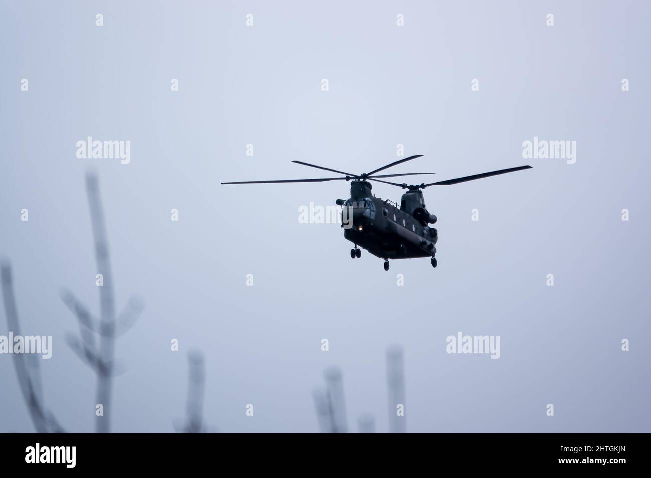 RAF Chinook tandem-rotor CH-47 helicopter flying fast and low in a ...