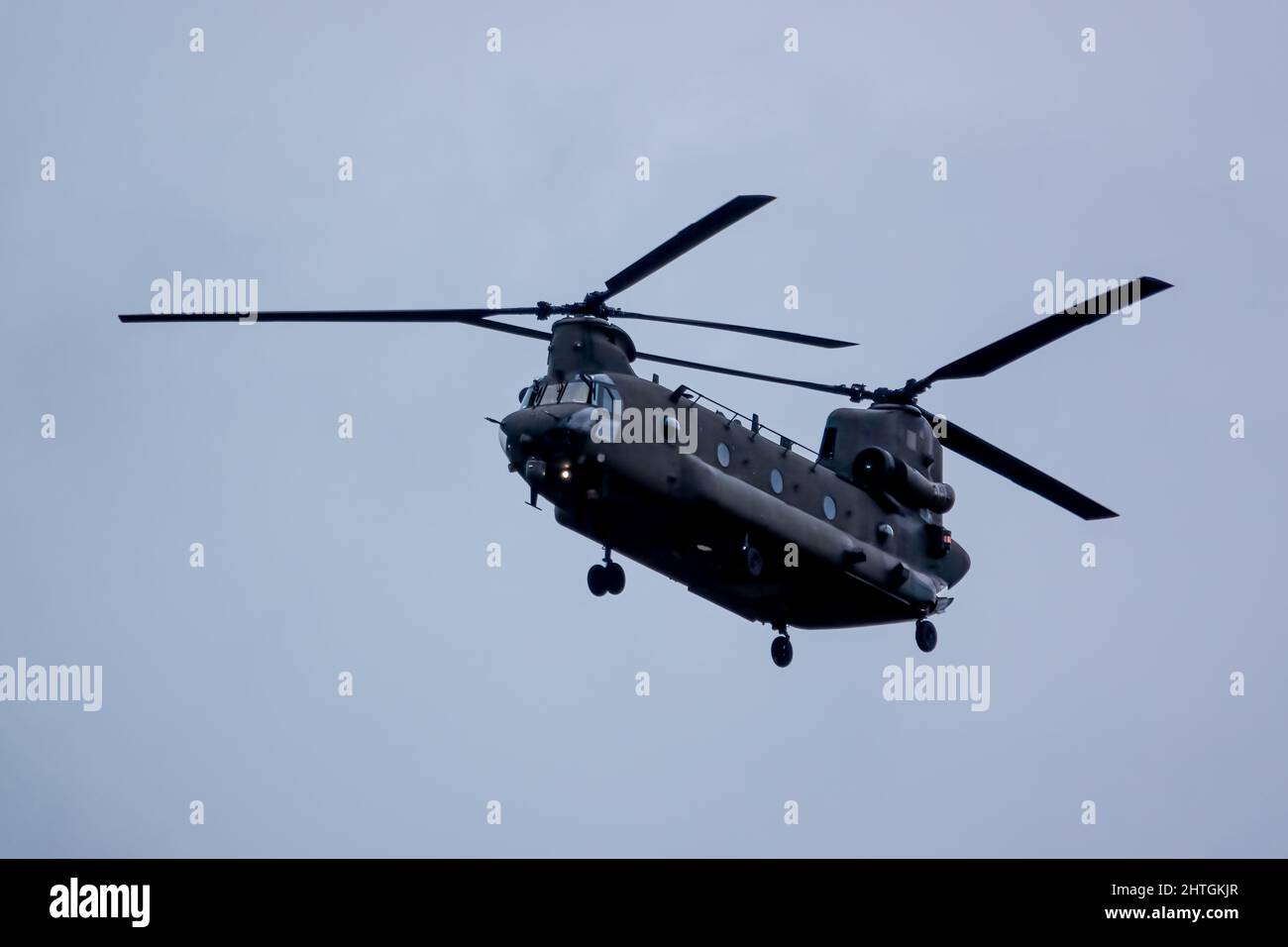RAF Chinook tandem-rotor CH-47 helicopter flying fast and low in a ...