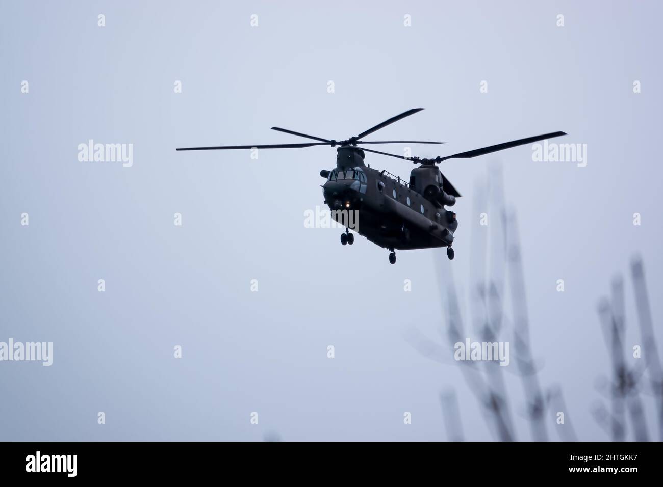 RAF Chinook tandem-rotor CH-47 helicopter flying fast and low in a ...