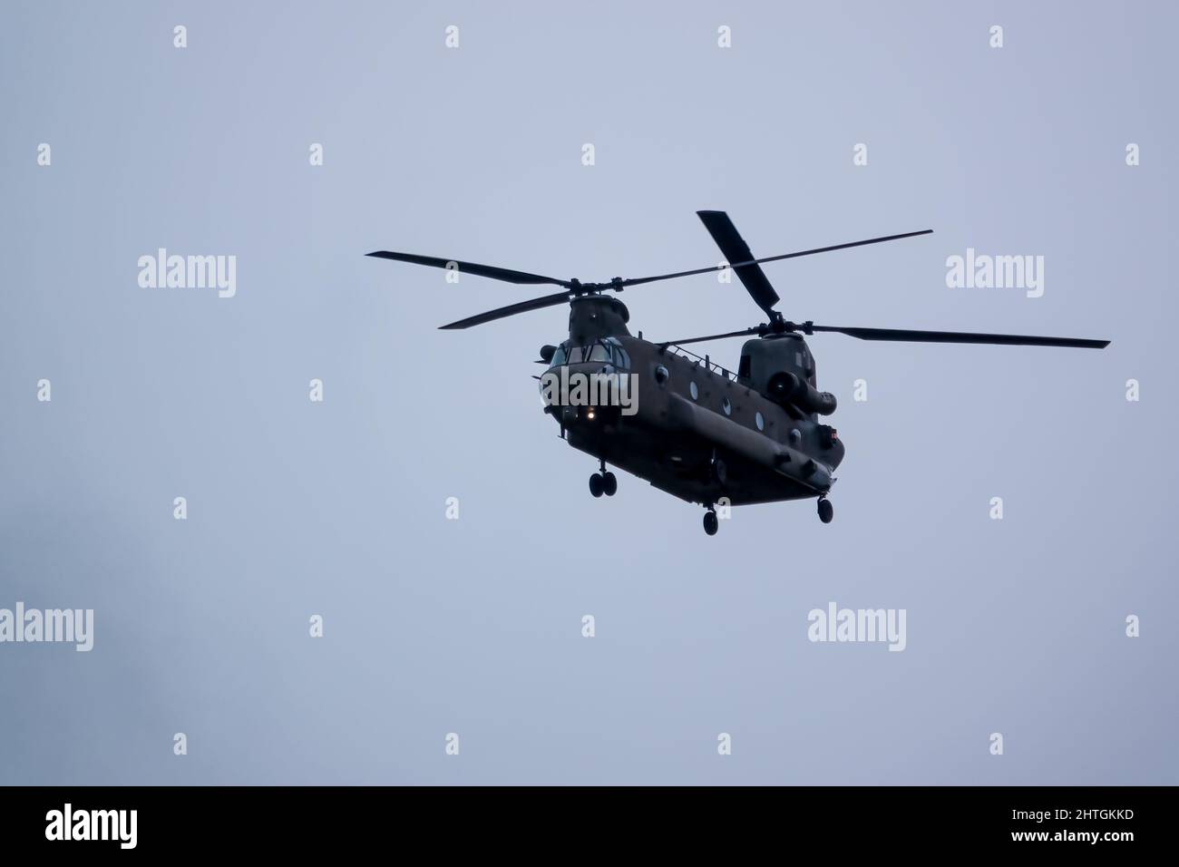 RAF Chinook tandem-rotor CH-47 helicopter flying fast and low in a ...