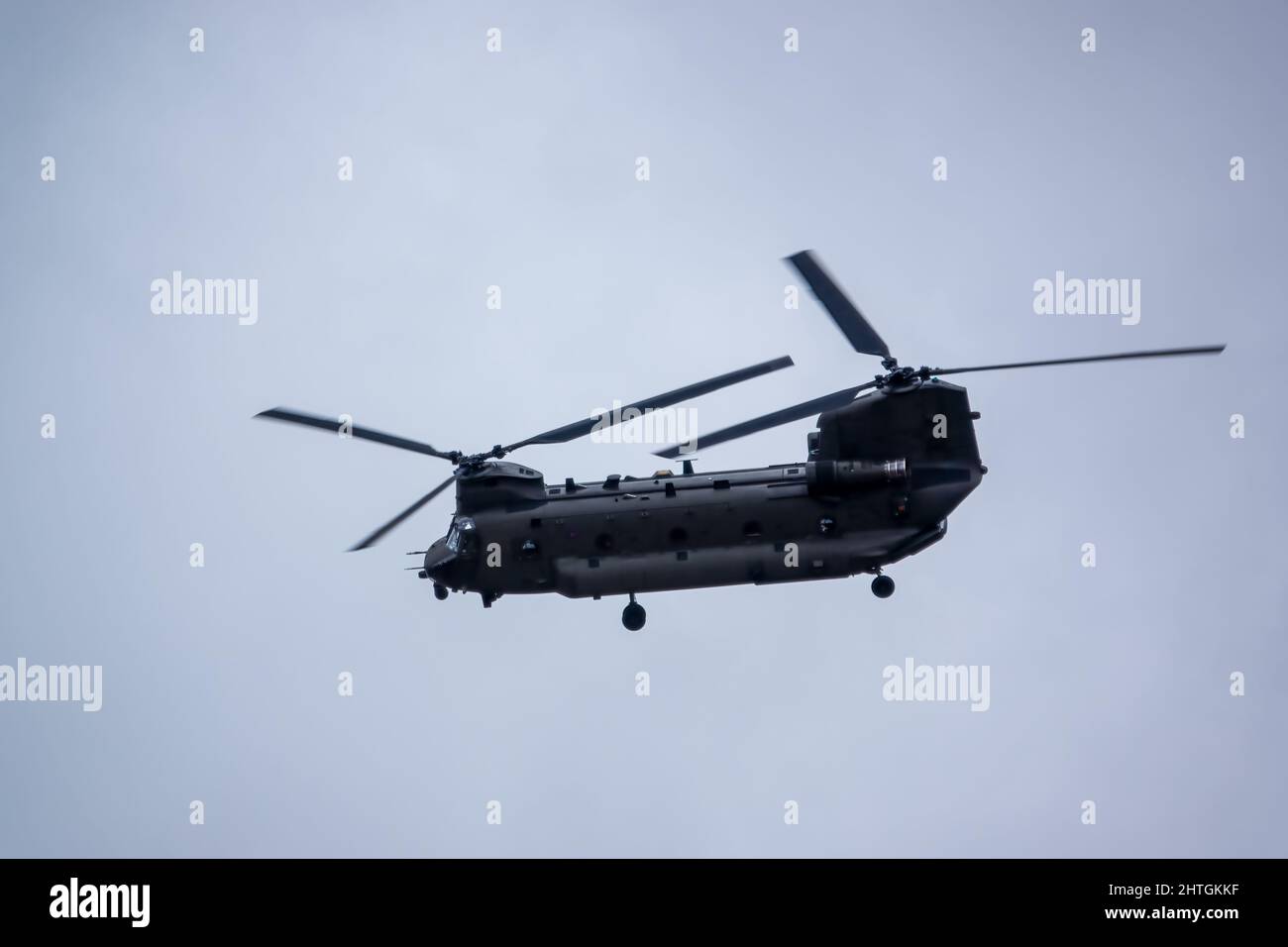 RAF Chinook tandem-rotor CH-47 helicopter flying fast and low in a ...