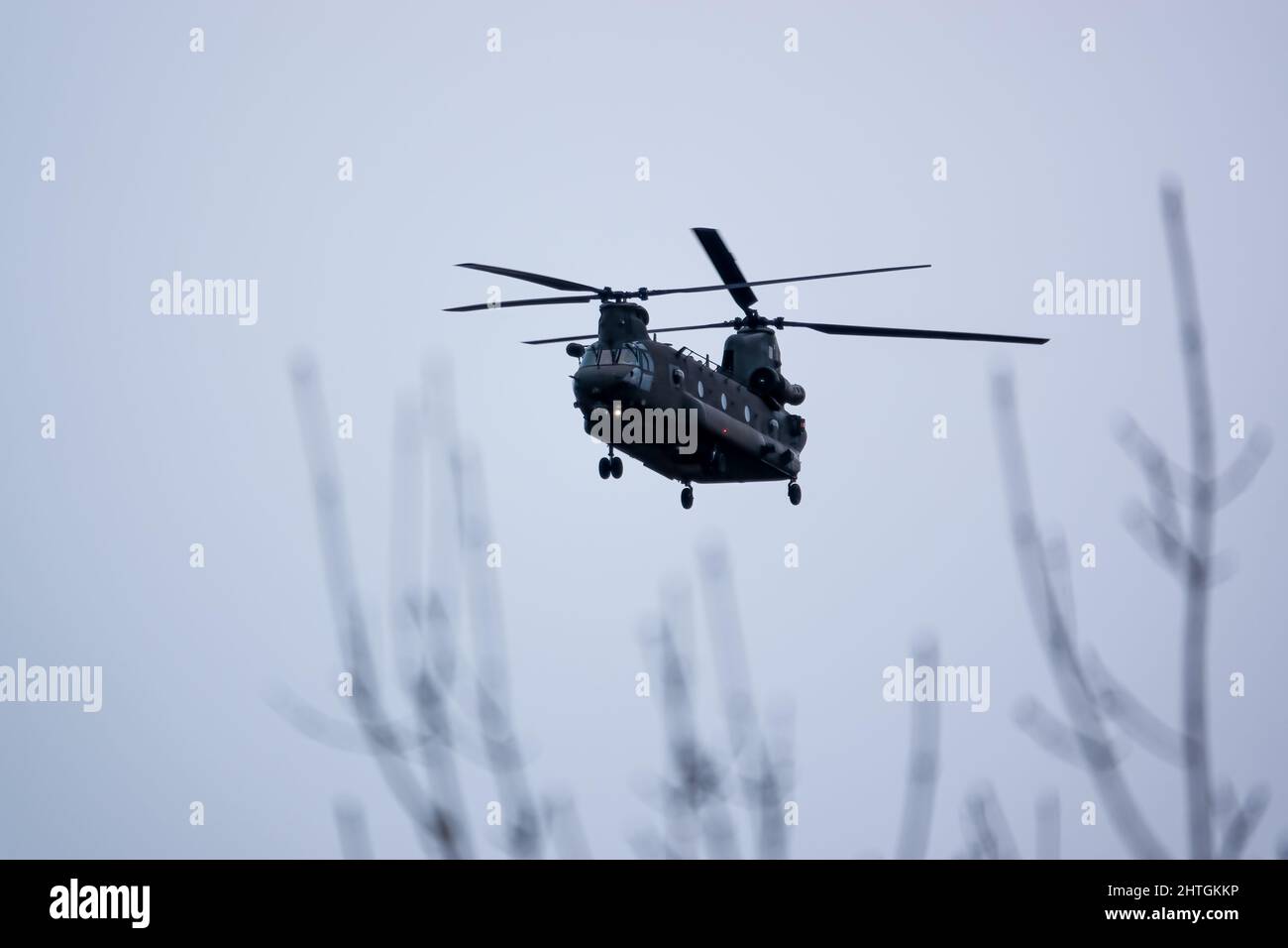 RAF Chinook tandem-rotor CH-47 helicopter flying fast and low in a ...