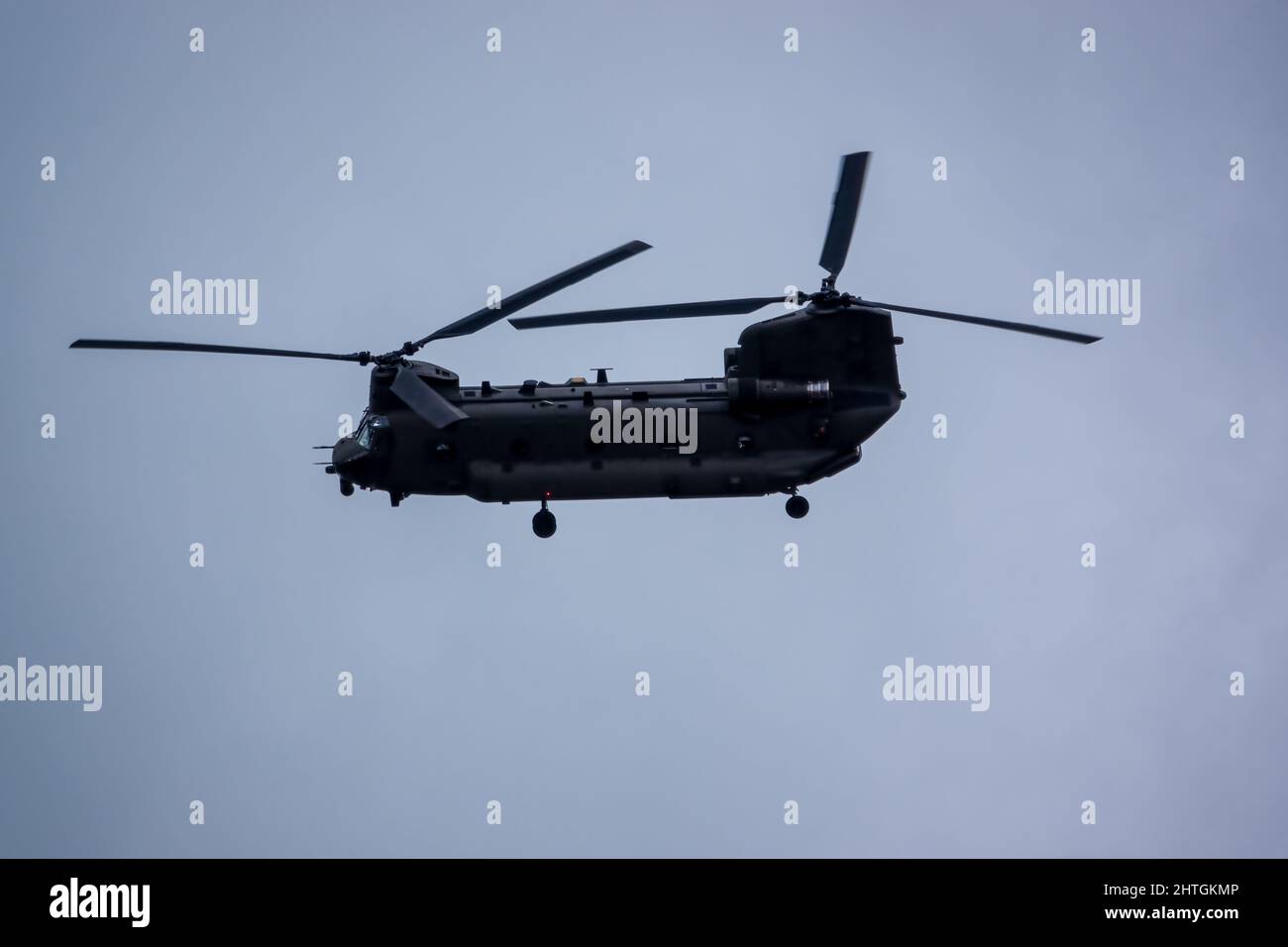 RAF Chinook tandem-rotor CH-47 helicopter flying fast and low in a ...