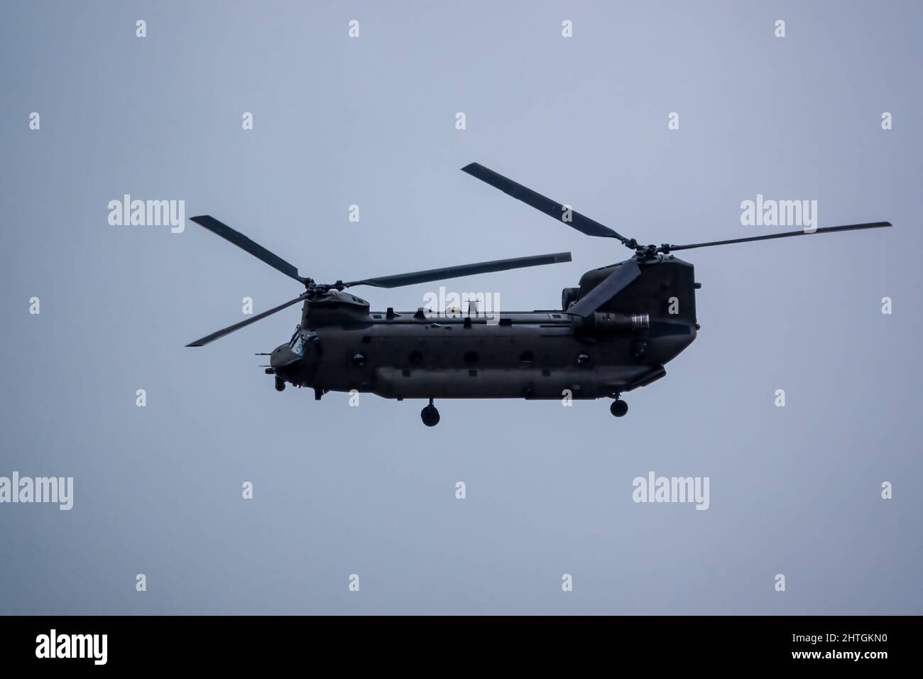 RAF Chinook tandem-rotor CH-47 helicopter flying fast and low in a ...