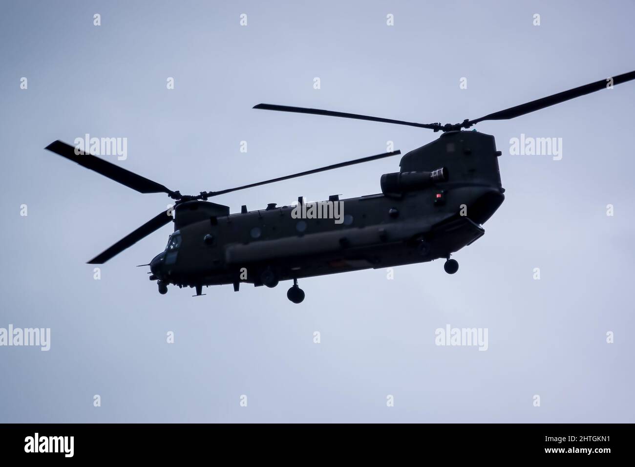 RAF Chinook tandem-rotor CH-47 helicopter flying fast and low in a ...