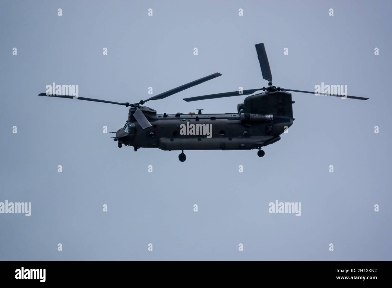 RAF Chinook tandem-rotor CH-47 helicopter flying fast and low in a ...