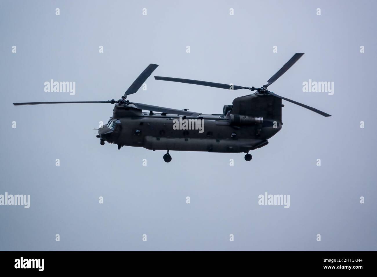 RAF Chinook tandem-rotor CH-47 helicopter flying fast and low in a ...