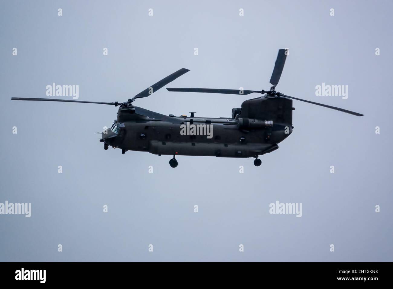 RAF Chinook tandem-rotor CH-47 helicopter flying fast and low in a ...