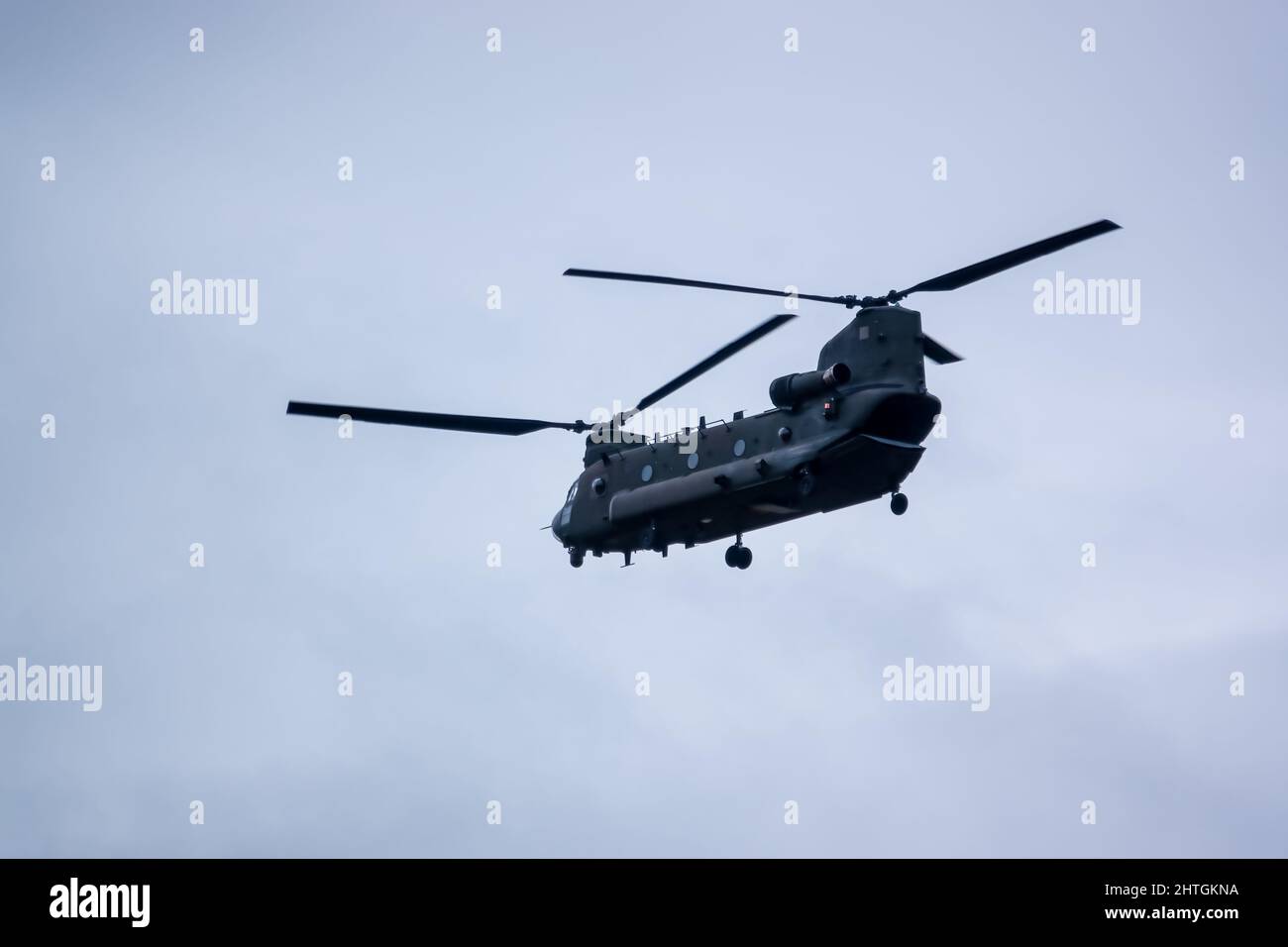 RAF Chinook tandem-rotor CH-47 helicopter flying fast and low in a ...