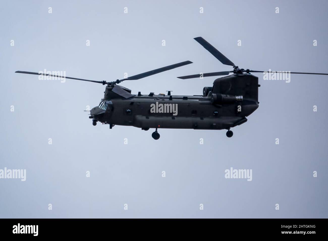 RAF Chinook tandem-rotor CH-47 helicopter flying fast and low in a ...
