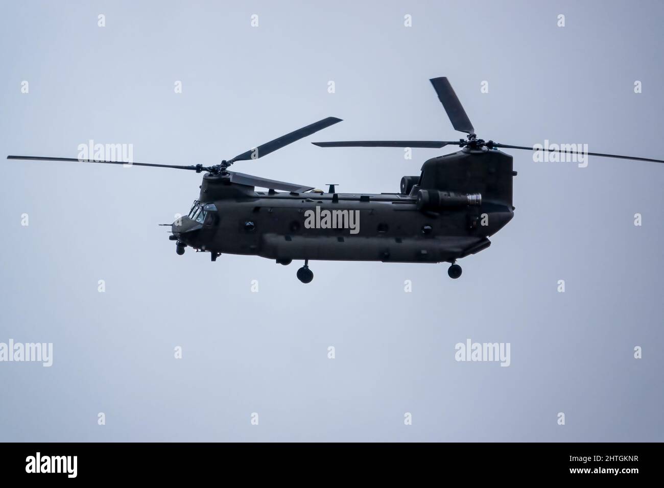 RAF Chinook tandem-rotor CH-47 helicopter flying fast and low in a ...