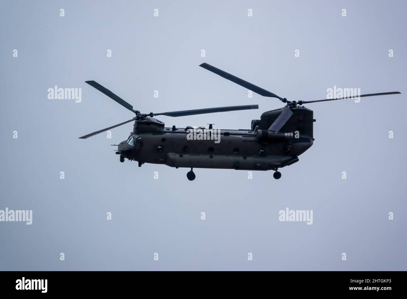 RAF Chinook tandem-rotor CH-47 helicopter flying fast and low in a ...