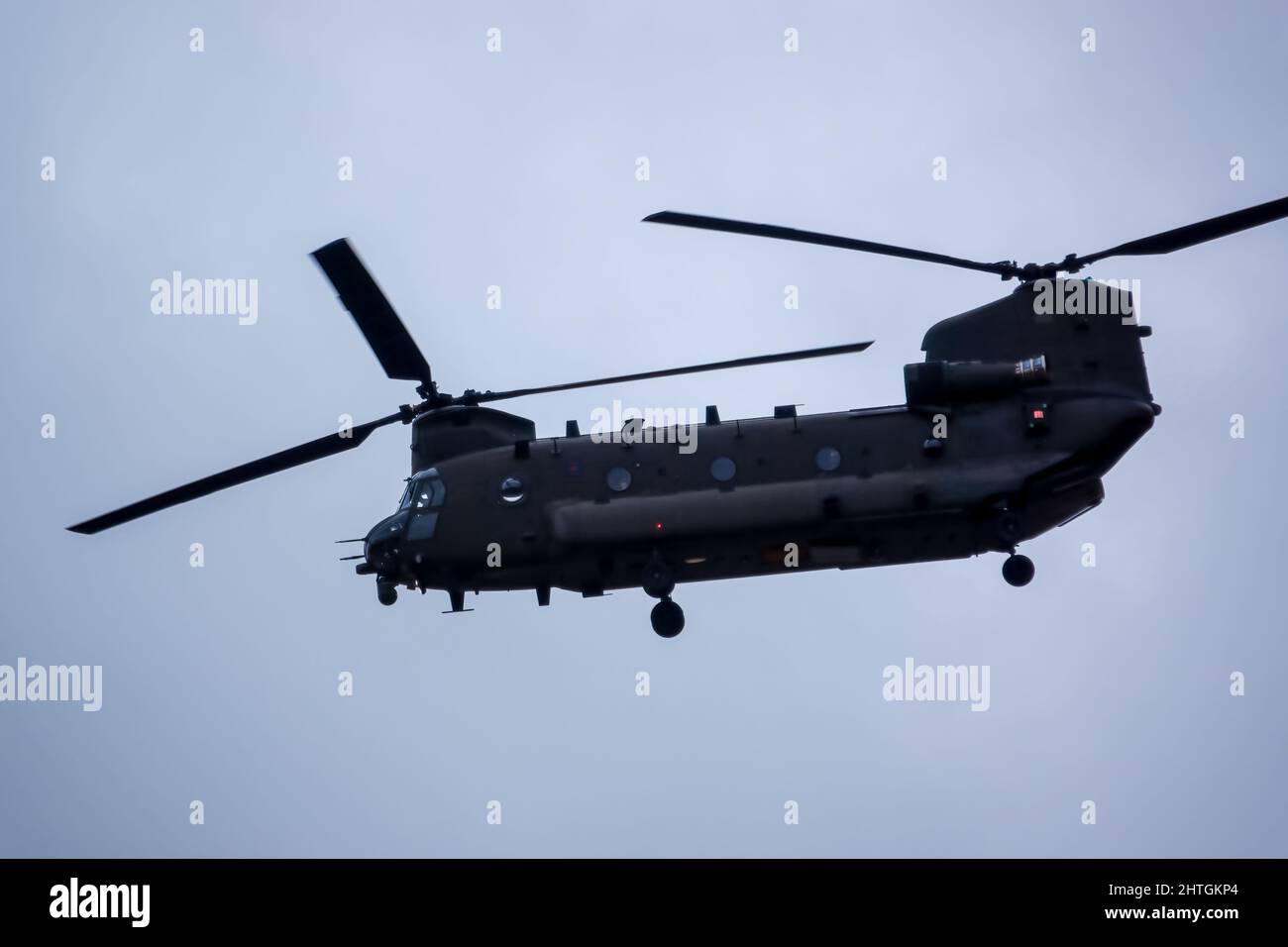 RAF Chinook tandem-rotor CH-47 helicopter flying fast and low in a ...