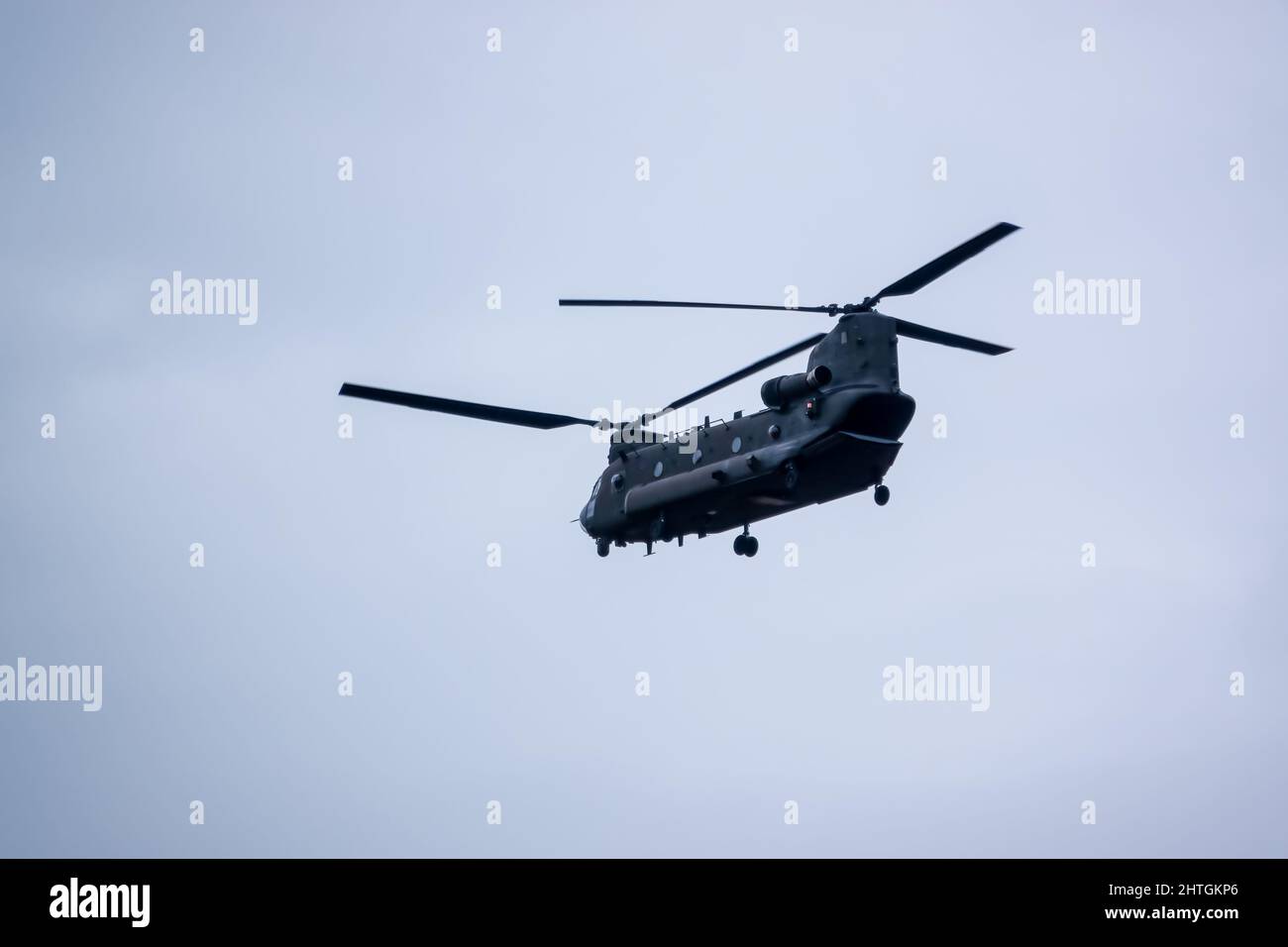 RAF Chinook tandem-rotor CH-47 helicopter flying fast and low in a ...